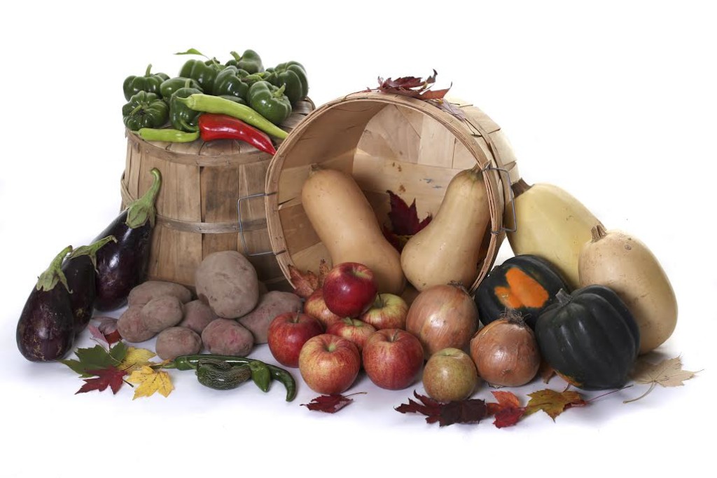 Michigan Farm Fresh Produce|Naturally Grown Non-GMO Vegetables|CSA